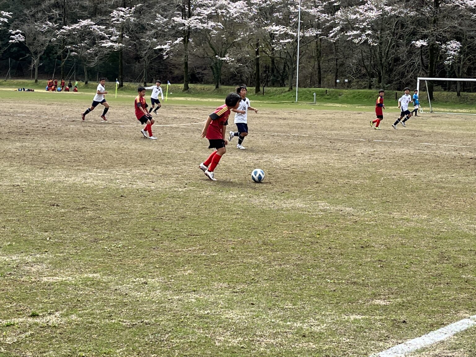 新U-12・1st ブレイズ熊本フェスティバル | レアッシ福岡FC