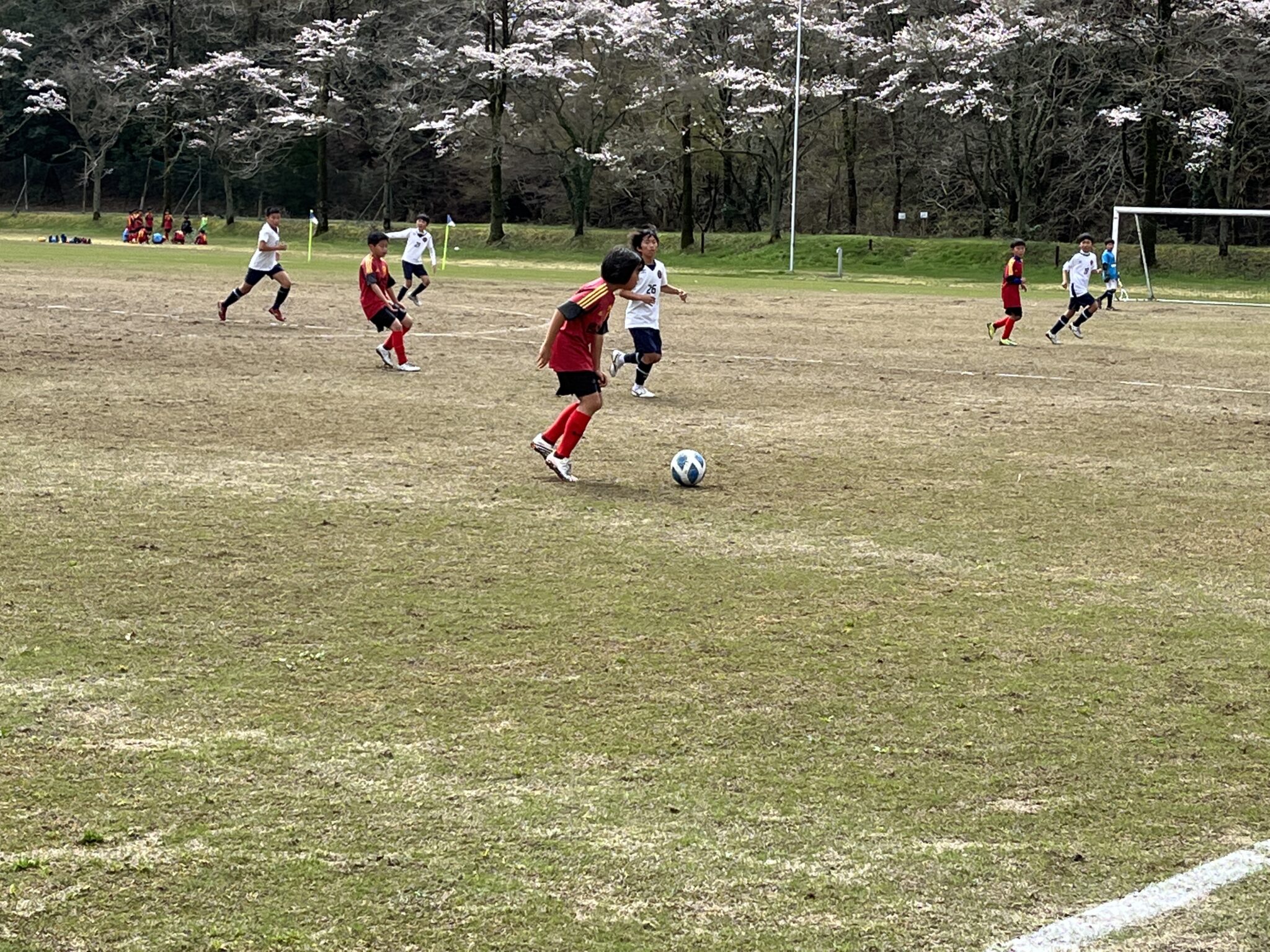 新U-12・1st ブレイズ熊本フェスティバル | レアッシ福岡FC
